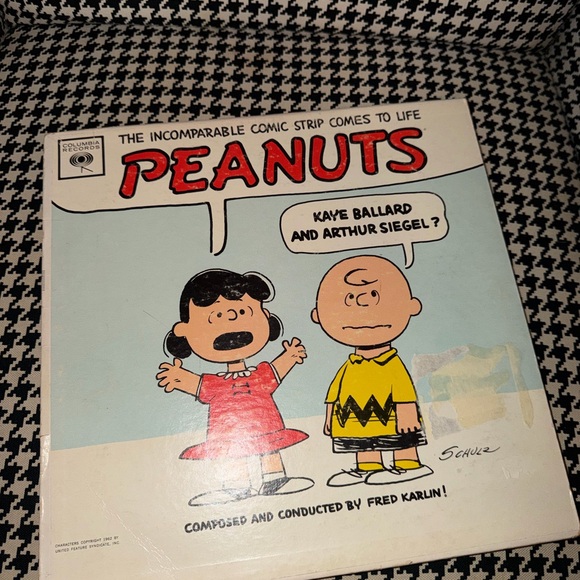 Other | Peanuts Comic Strip Vinyl Record | Poshmark